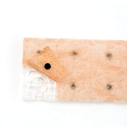 Acu Relaxo Vaccaria Ear Seeds - Lierre.ca